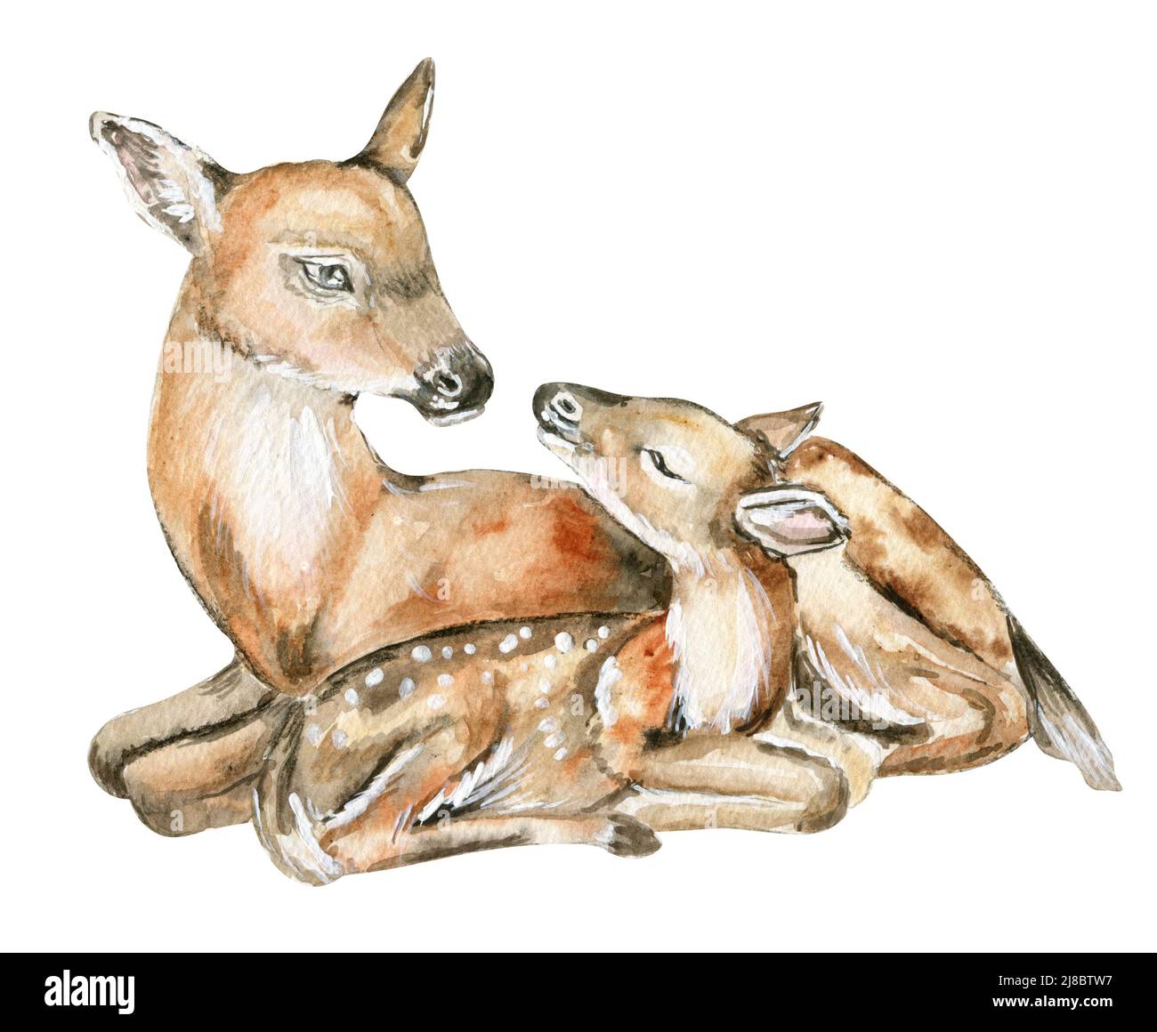 Mummy bear Cut Out Stock Images & Pictures - Alamy