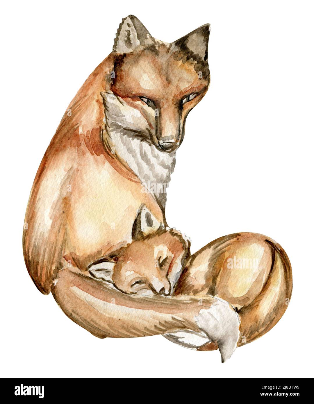 Mummy bear Cut Out Stock Images & Pictures - Alamy