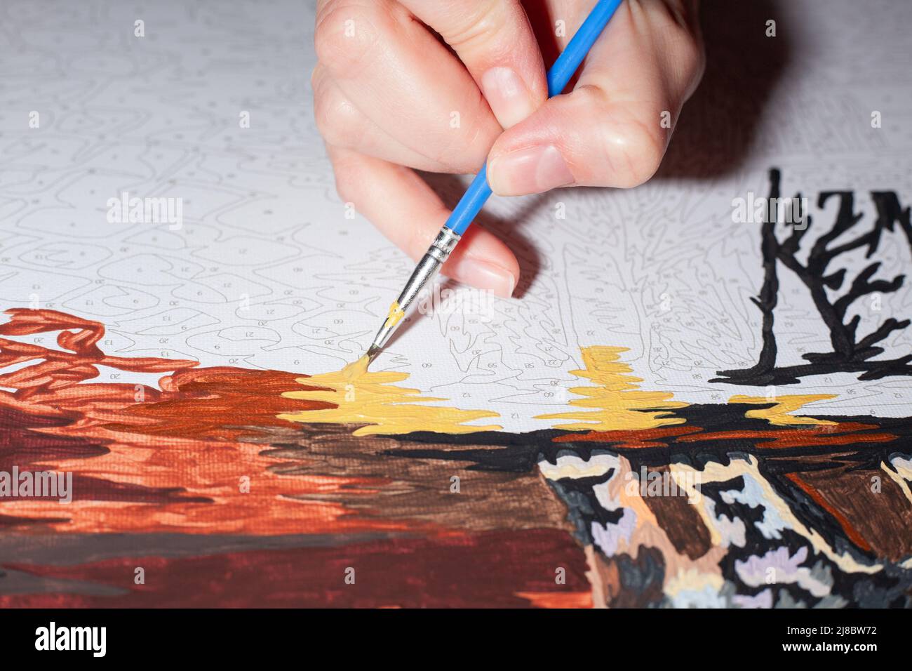 Paint by numbers close up. Female hand with brush drawing. Active ...