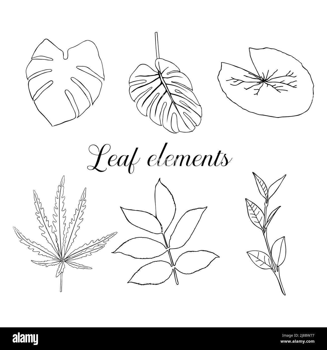 Palm leaves on the water Stock Vector Images - Alamy