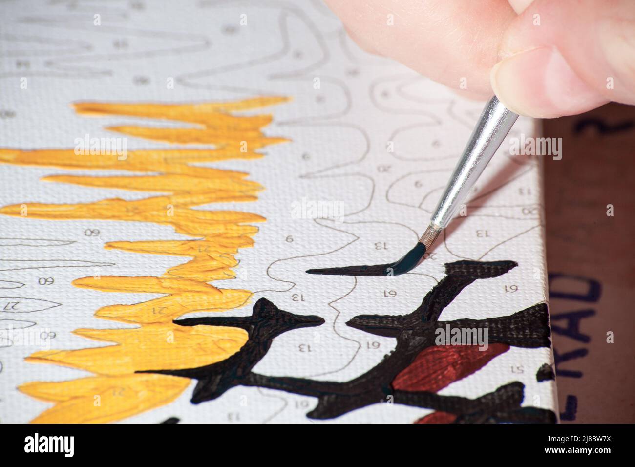 Paint by numbers close up. Female hand with brush drawing. Active ...