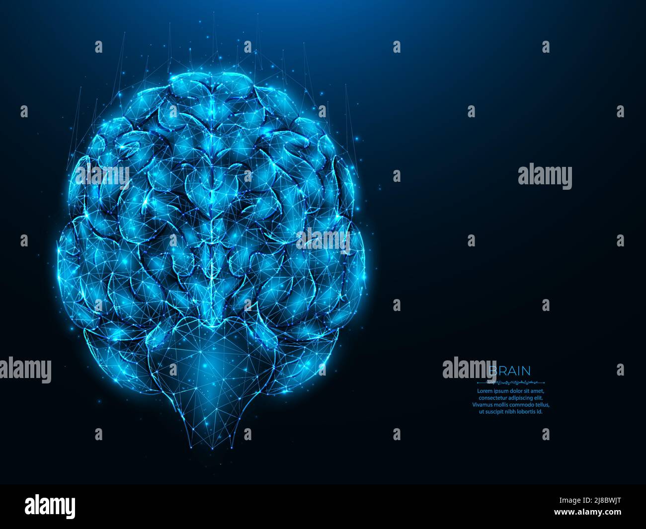 Polygonal vector illustration of a human brain on a dark blue ...
