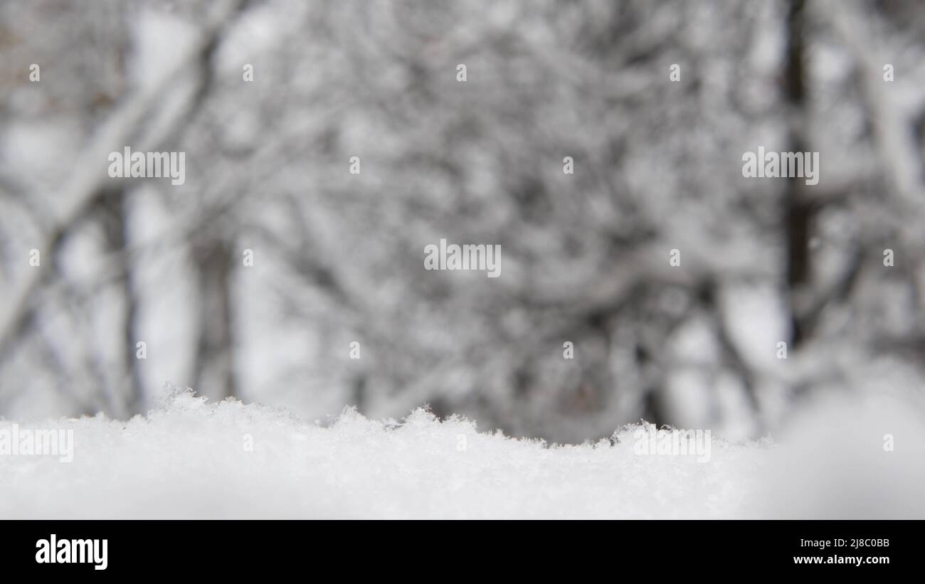 Cinemagraph falling snow in winter hi-res stock photography and images ...