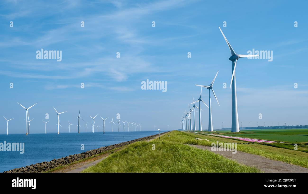 Offshore Windmill farm in the ocean Westermeerwind park, windmills ...