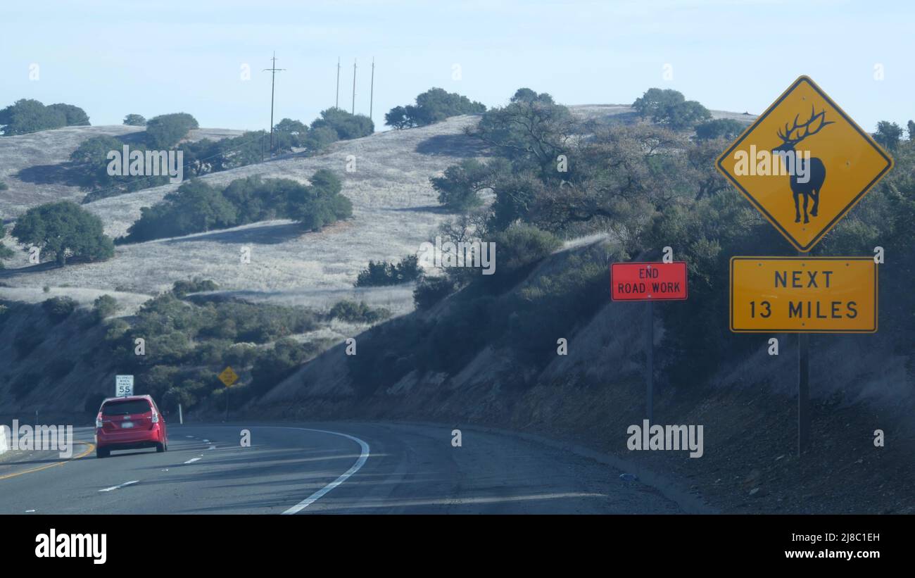 Deer crossing warning yellow sign, California USA. Wild animals xing ...