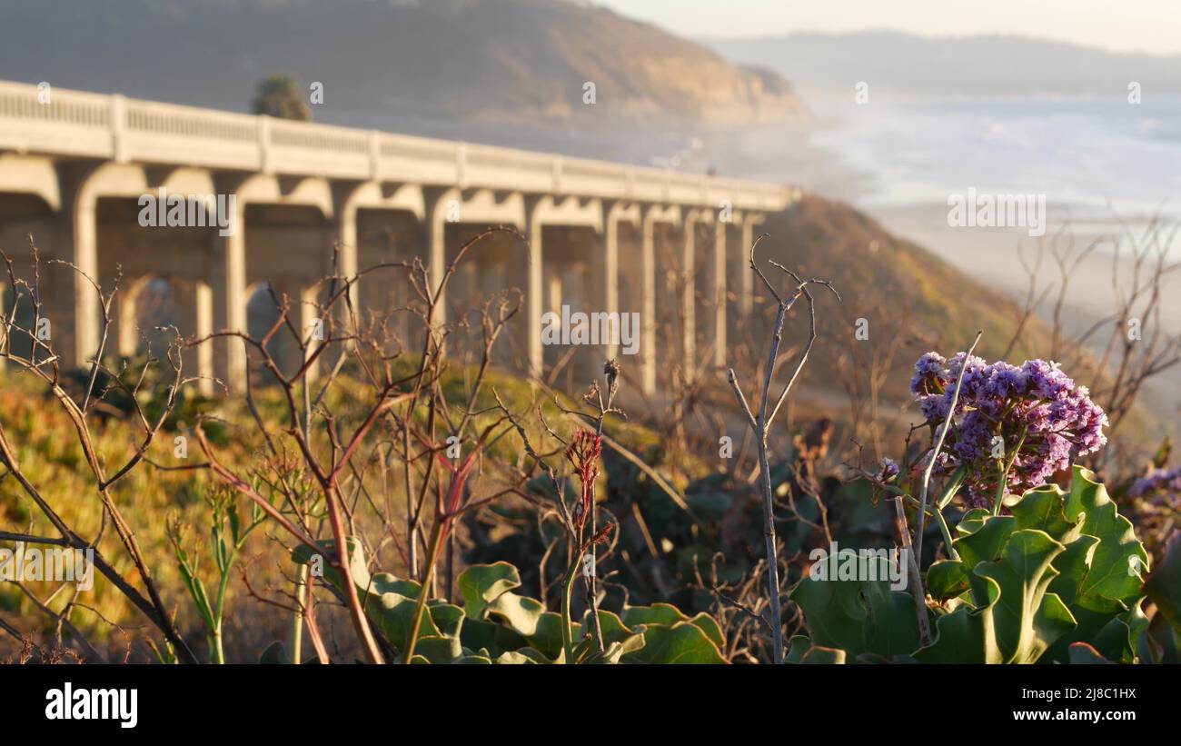 Torrey pines state beach bridge hi-res stock photography and images - Alamy
