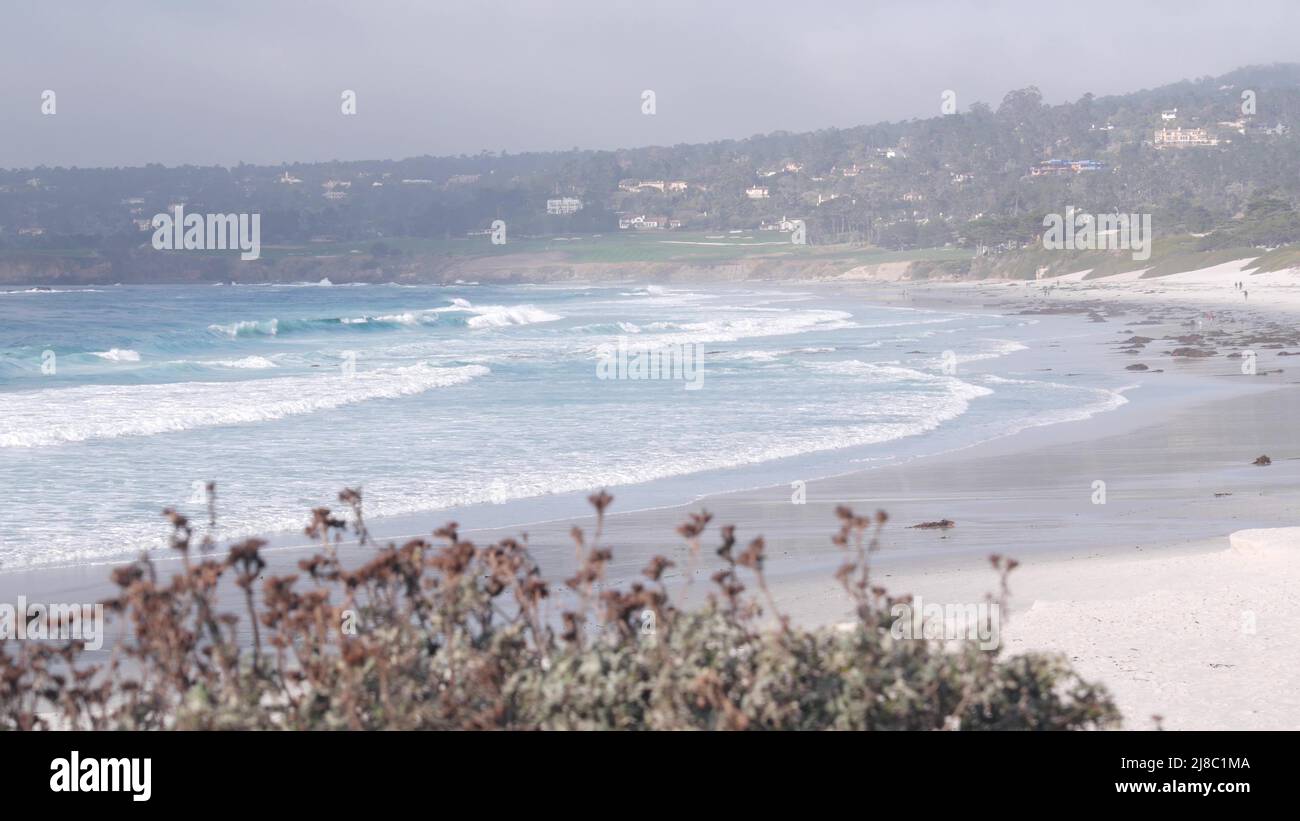 Empty ocean sandy beach in Carmel, Monterey bay nature, California ...
