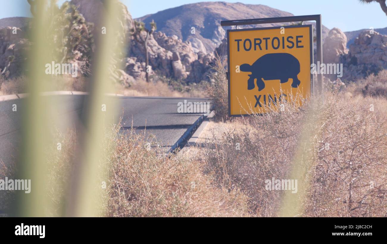 Tortoise warning road sign hi-res stock photography and images - Alamy
