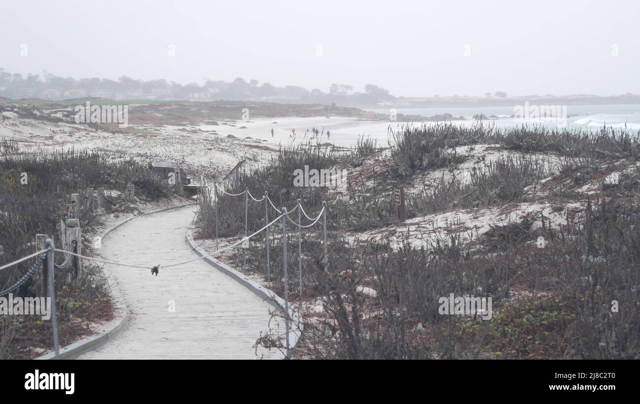 Ocean beach sandy dunes, Monterey nature, California misty coast, USA ...