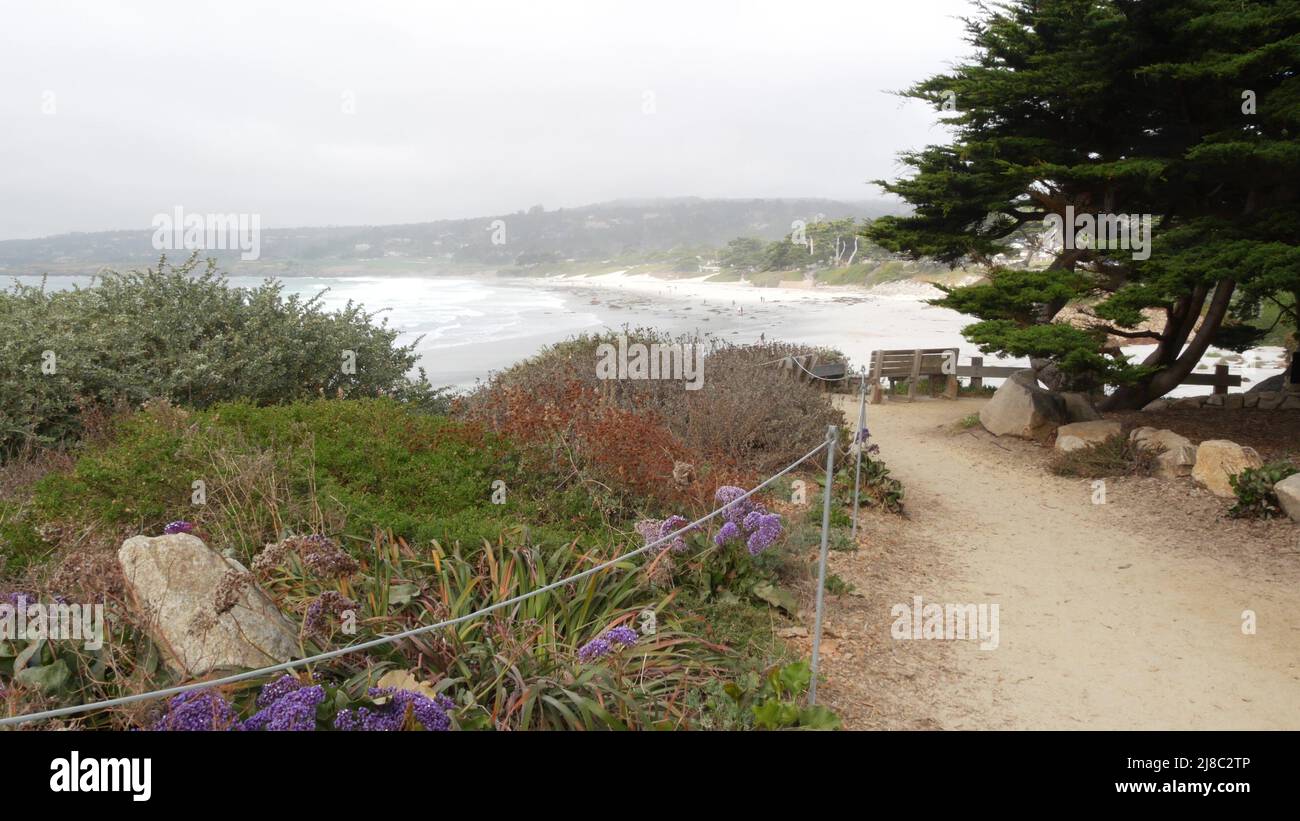 Empty wooden bench, rest on trail path, walkway or footpath. Carmel ...
