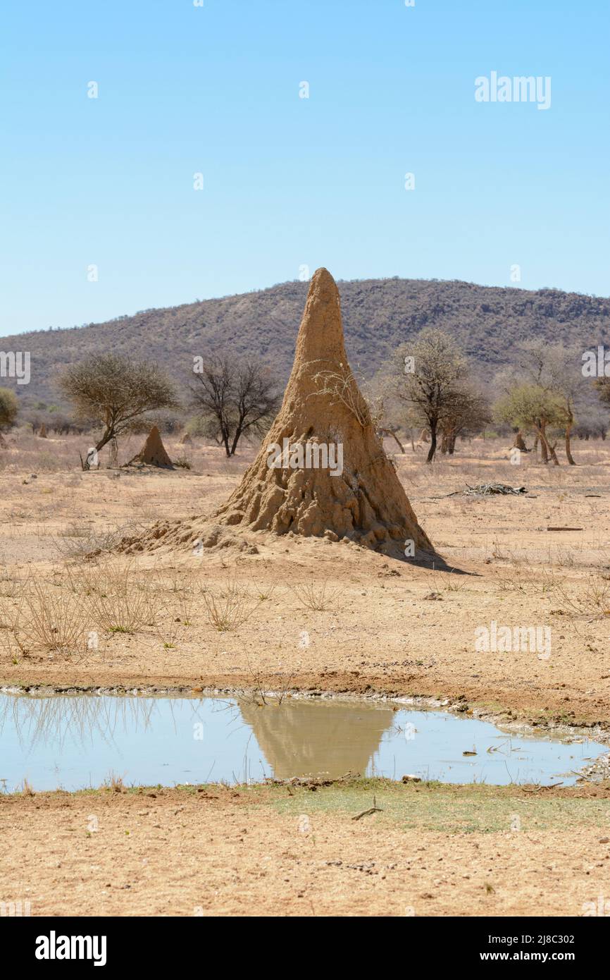 Large termite mound, Namibia, Southwest Africa Stock Photo - Alamy