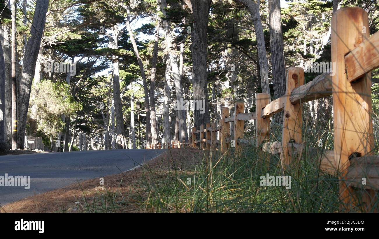 17-mile drive scenic road, Monterey peninsula, California, USA. Road ...