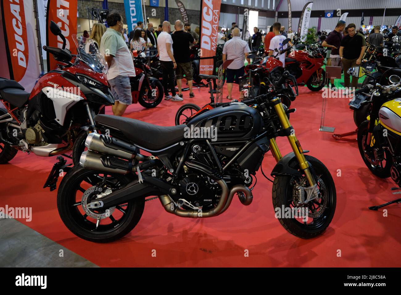 Ducati Scrambler at MOMA 2022 motorbike show. Malaga, Spain Stock Photo ...