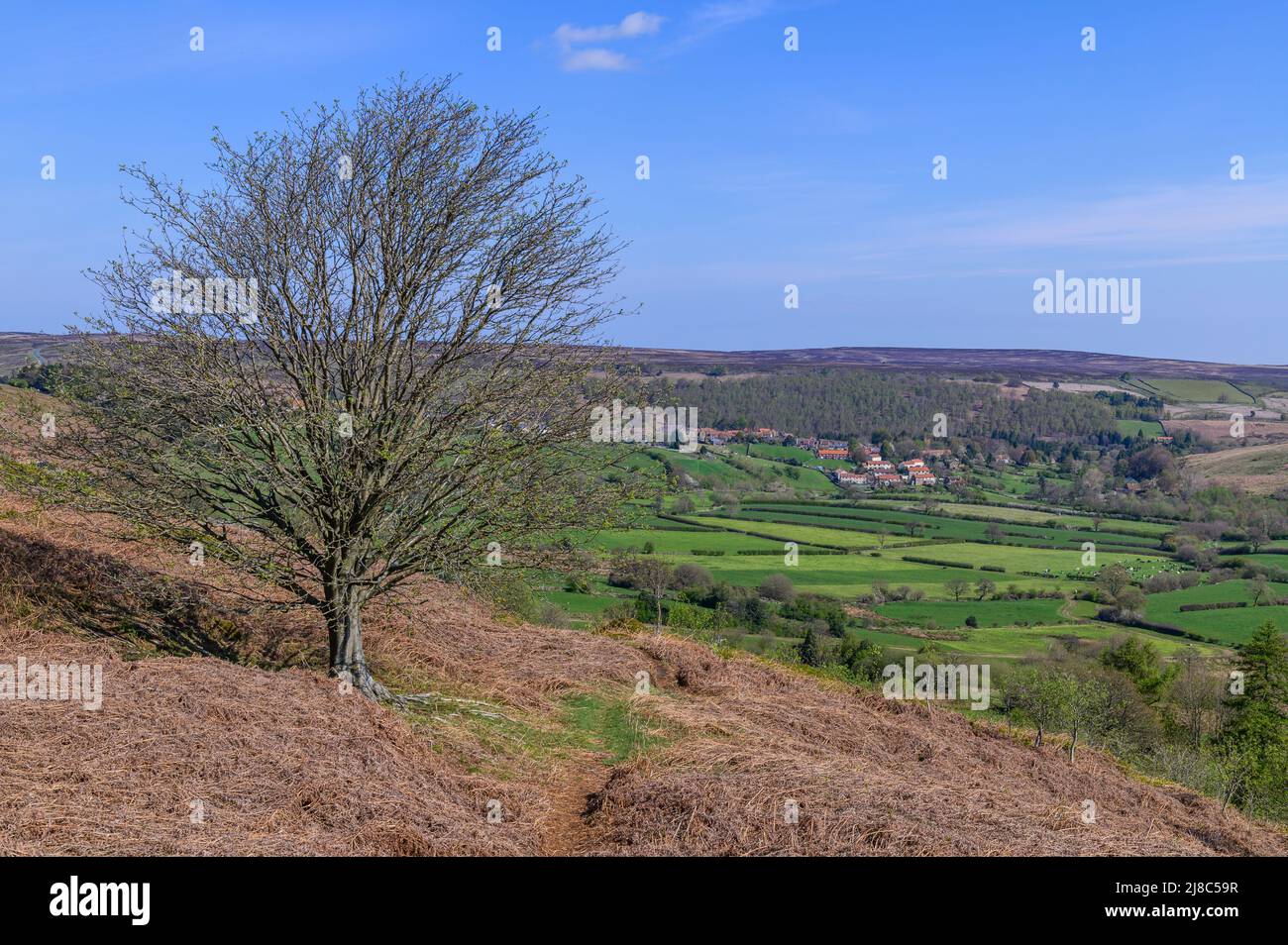 Castleton village north yorkshire hi-res stock photography and images ...