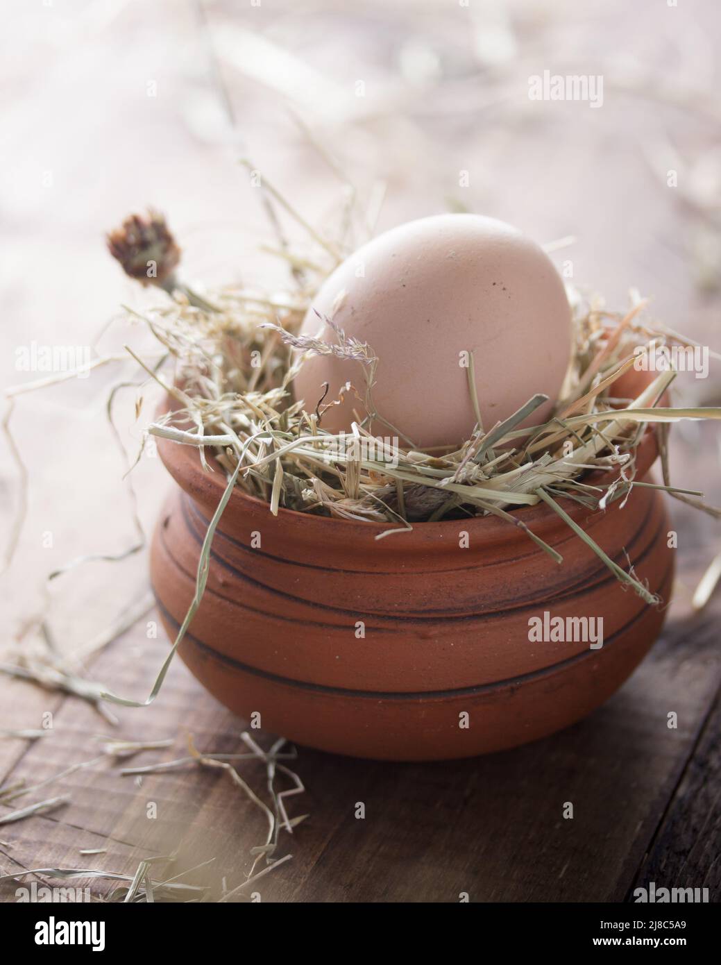 Fresh organic eggs on a table Stock Photo - Alamy