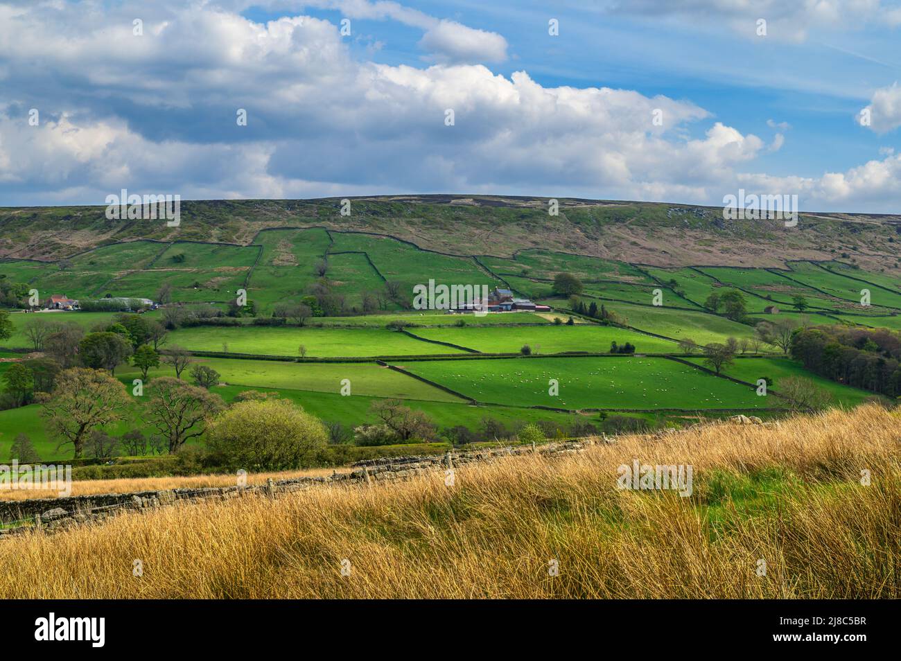 Botton grove hi-res stock photography and images - Alamy