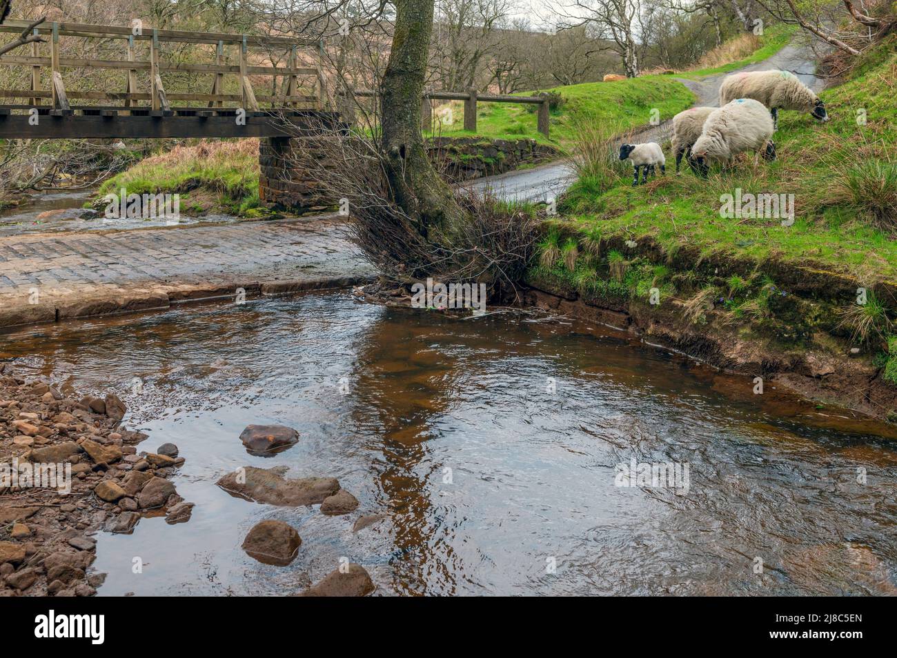 The Footbridge and Ford across Baysdale Beck at Hob Hole near ...