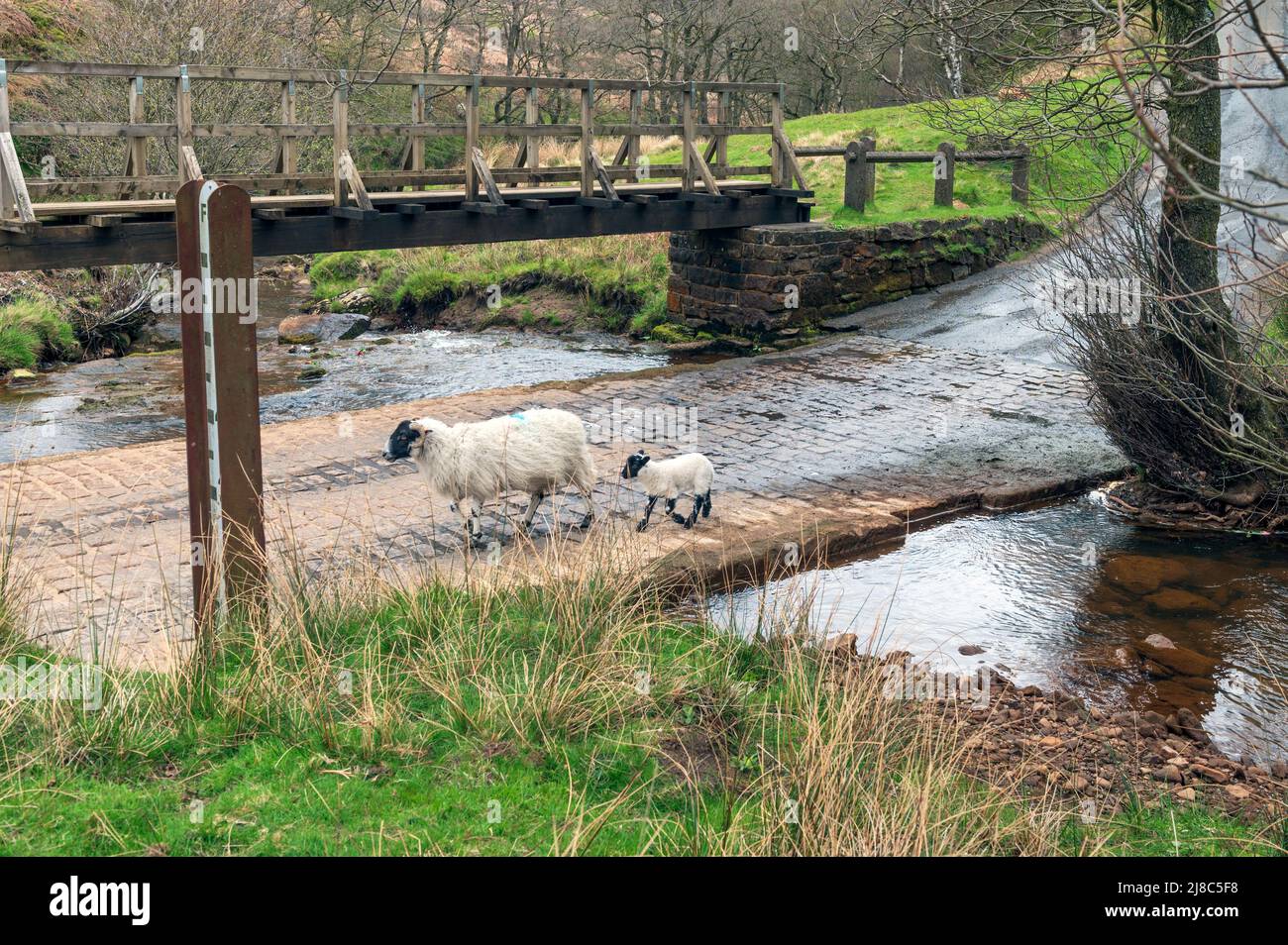 The Footbridge and Ford across Baysdale Beck at Hob Hole near ...