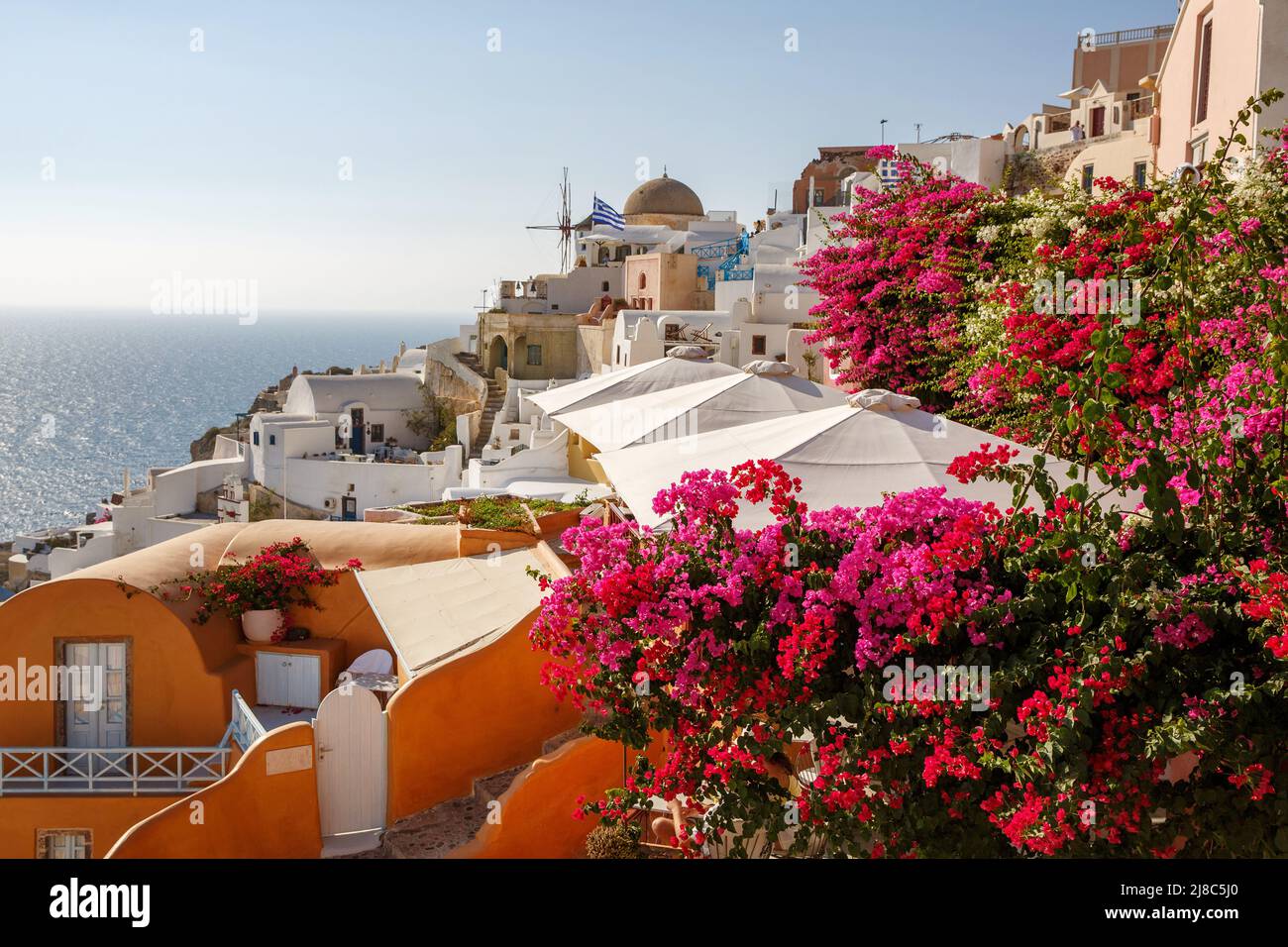 Oleander nerium oleander greece europe hi-res stock photography and ...