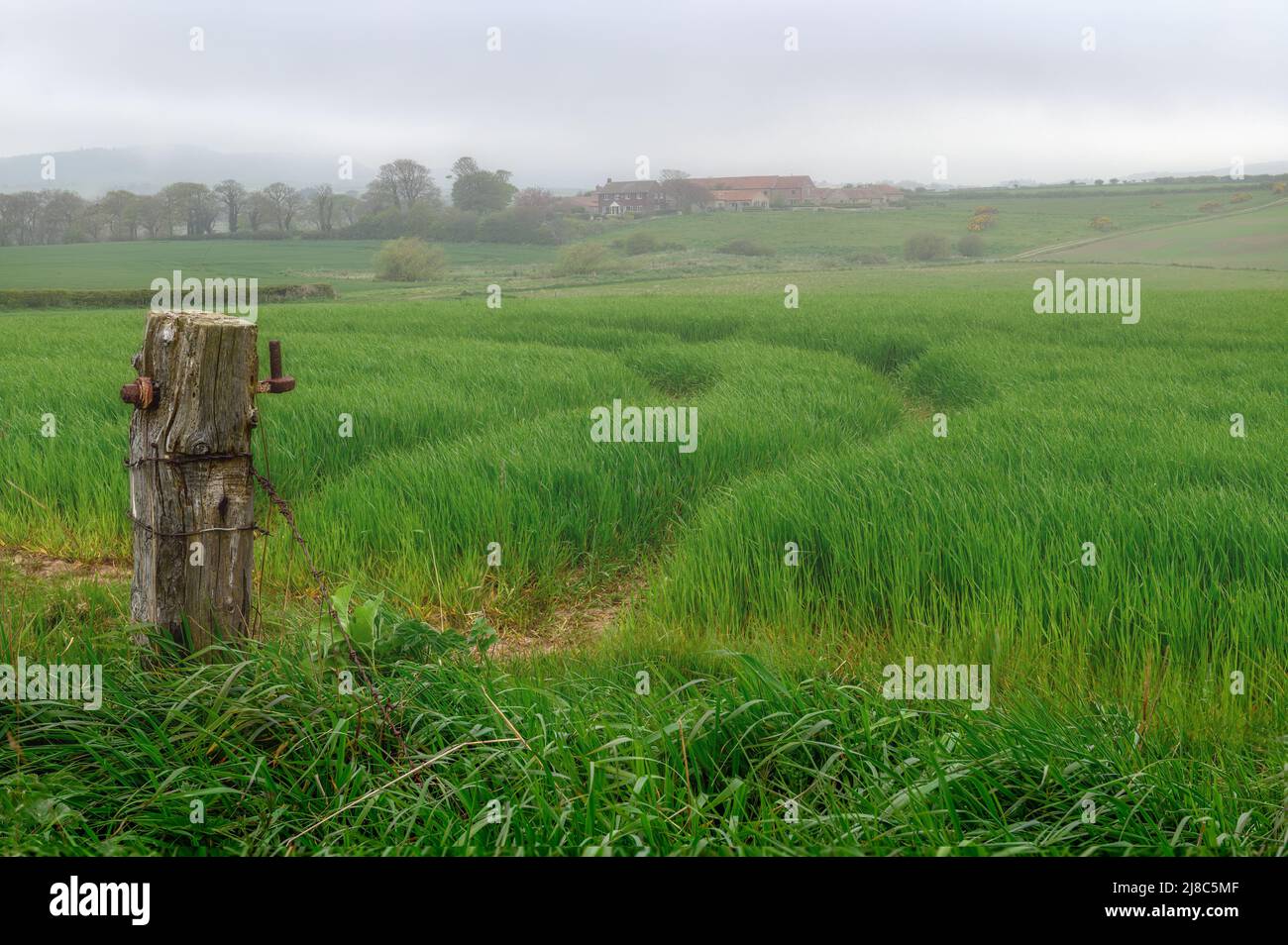 Scalby Lodge from The Cleveland Way near Scarborough Stock Photo - Alamy