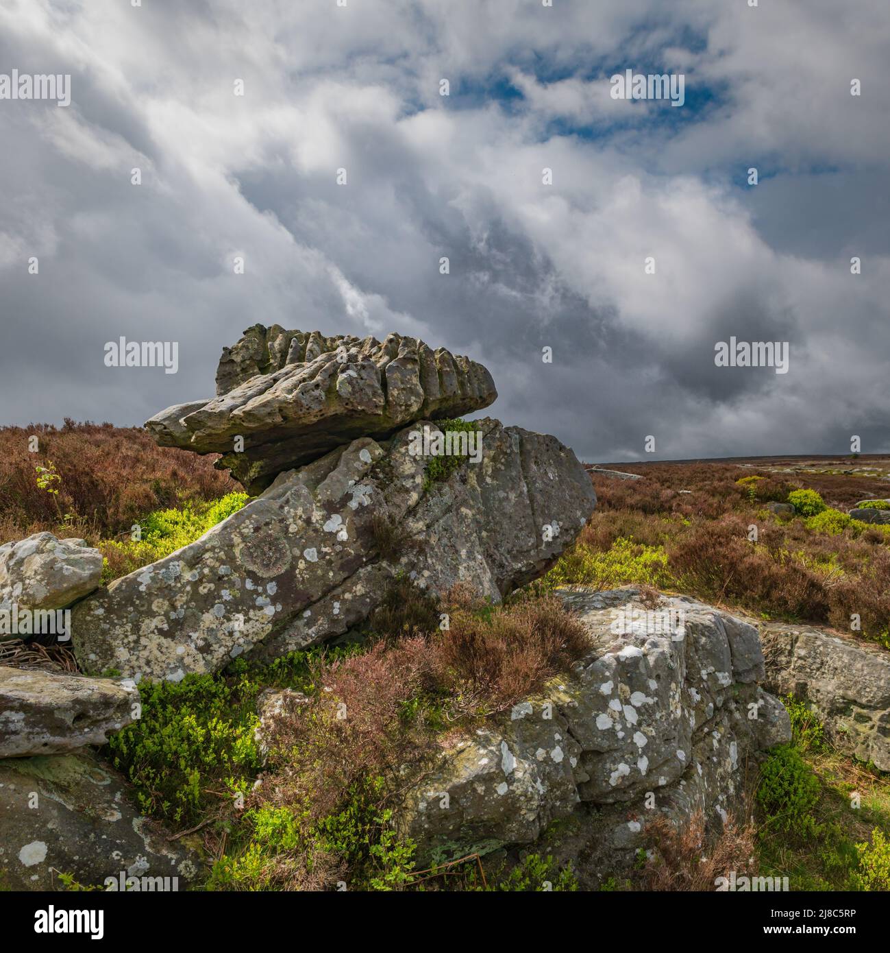 Raven stones park hi-res stock photography and images - Alamy