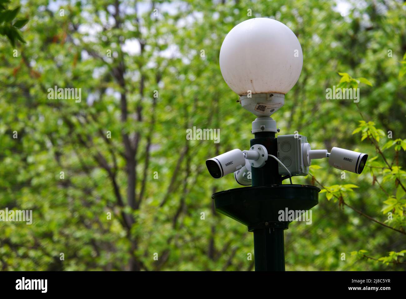 Security cameras within trees in nature at park Stock Photo - Alamy