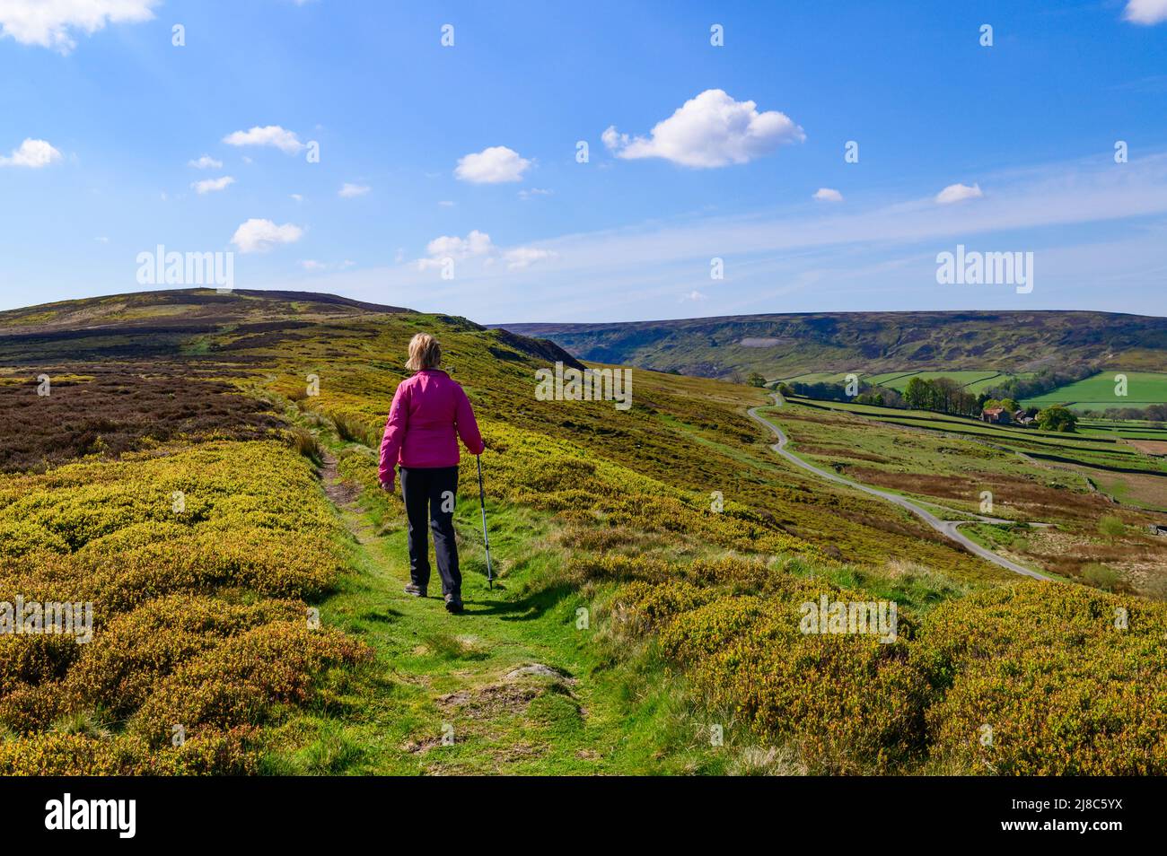 Walking to Brown Hill along Castleton Rigg in The North York Moors ...