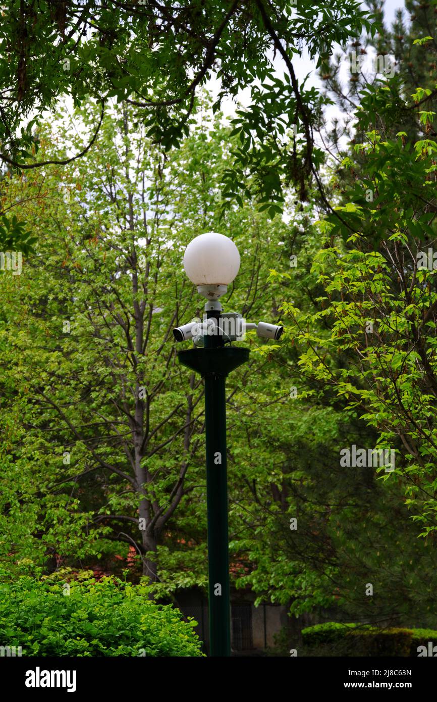 Security cameras within trees in nature at park Stock Photo - Alamy