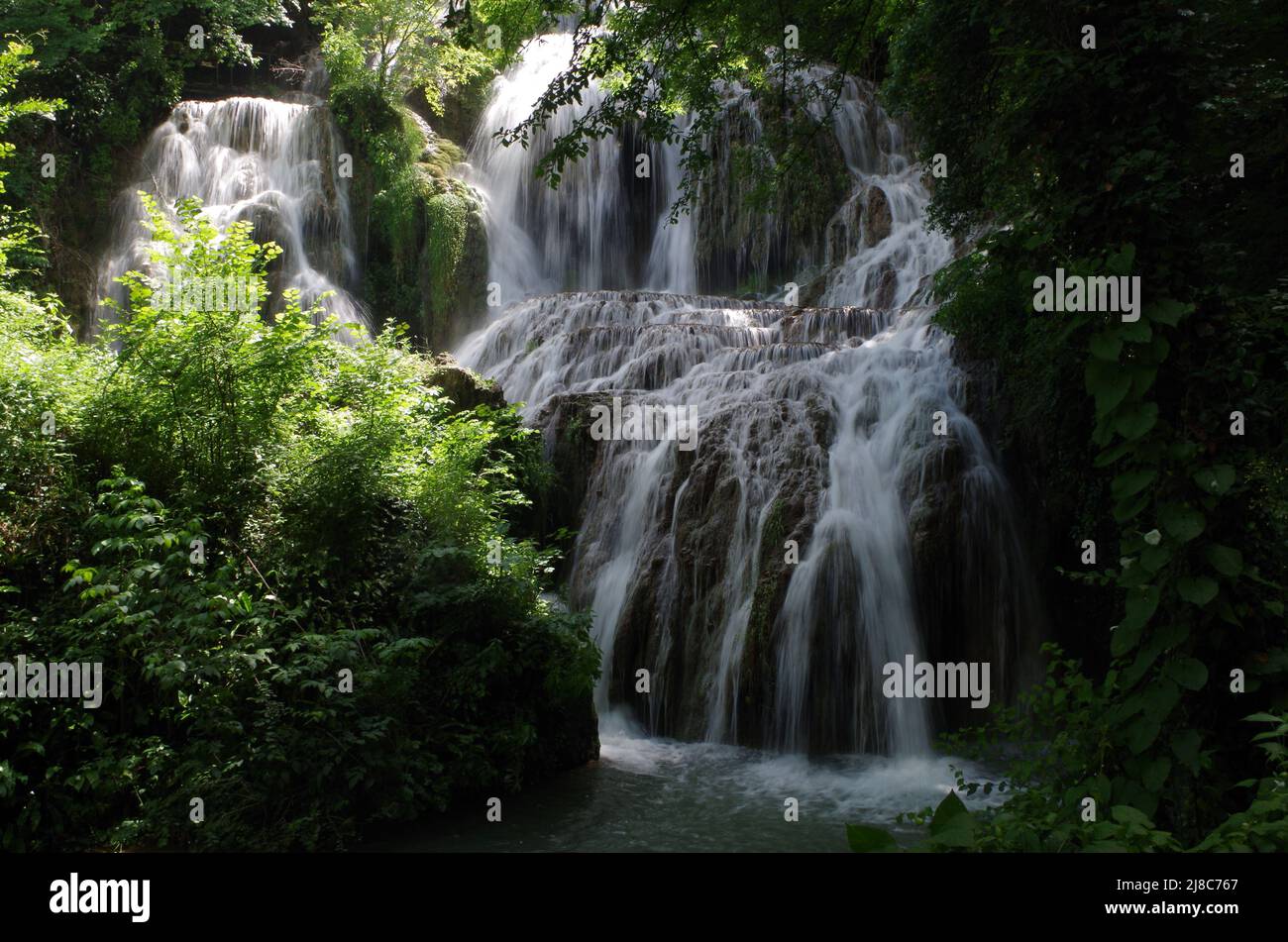 Krushinski hi-res stock photography and images - Alamy