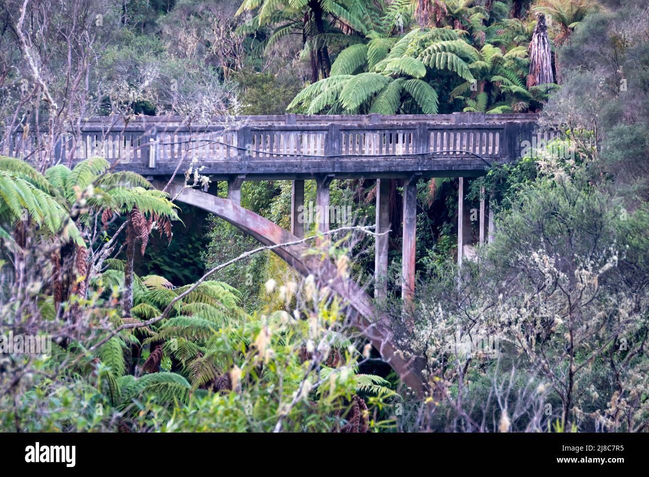 "Bridge to Somewhere", near, Whangamomona, Taranaki, North Island, New ...