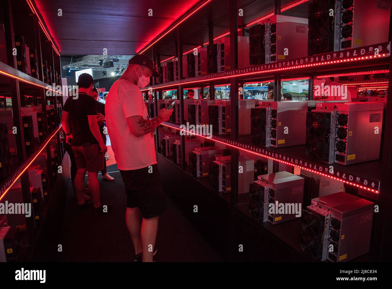 A visitor seen inside a room with crypto miner computers illuminated in ...