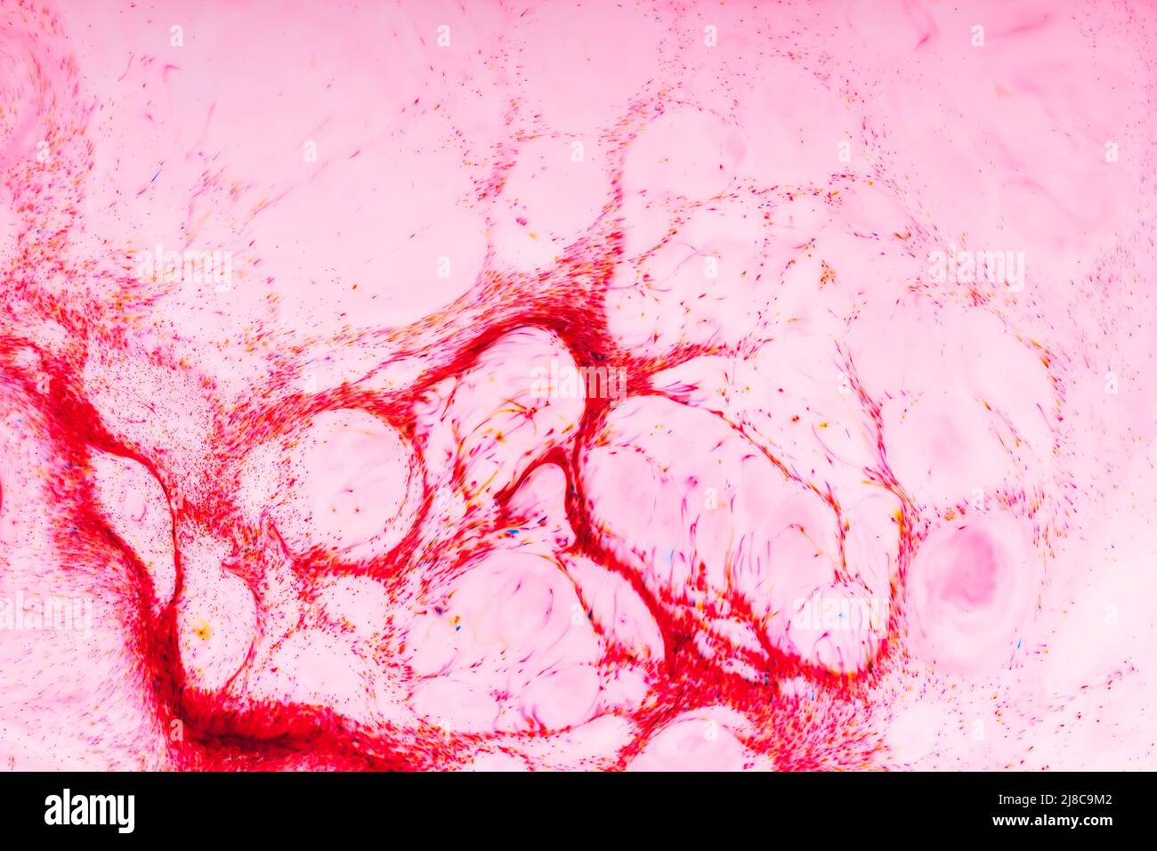 Pink liquid abstract surface. Colorful spots on a water surface. Fluid ...