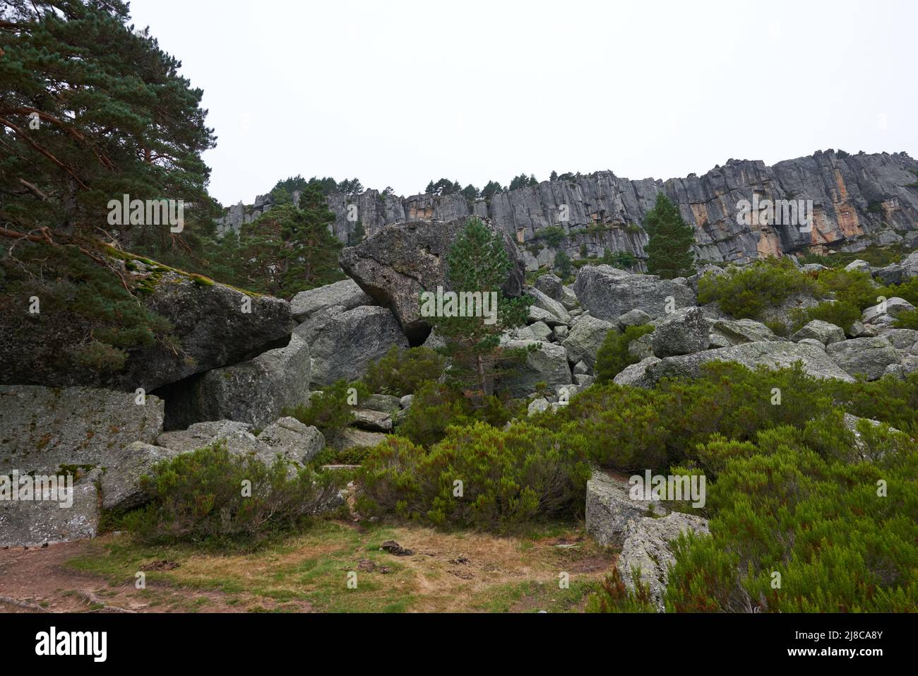 Various rock formations in a large pine forest under a gray sky Stock ...