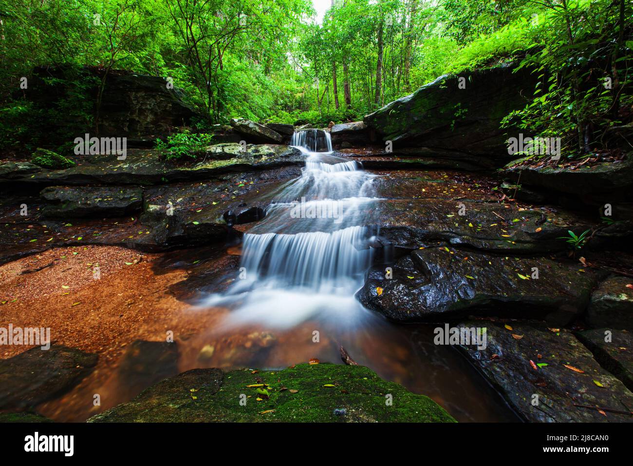 Landscape of a tropical waterfall in the rainy season, freshwater ...