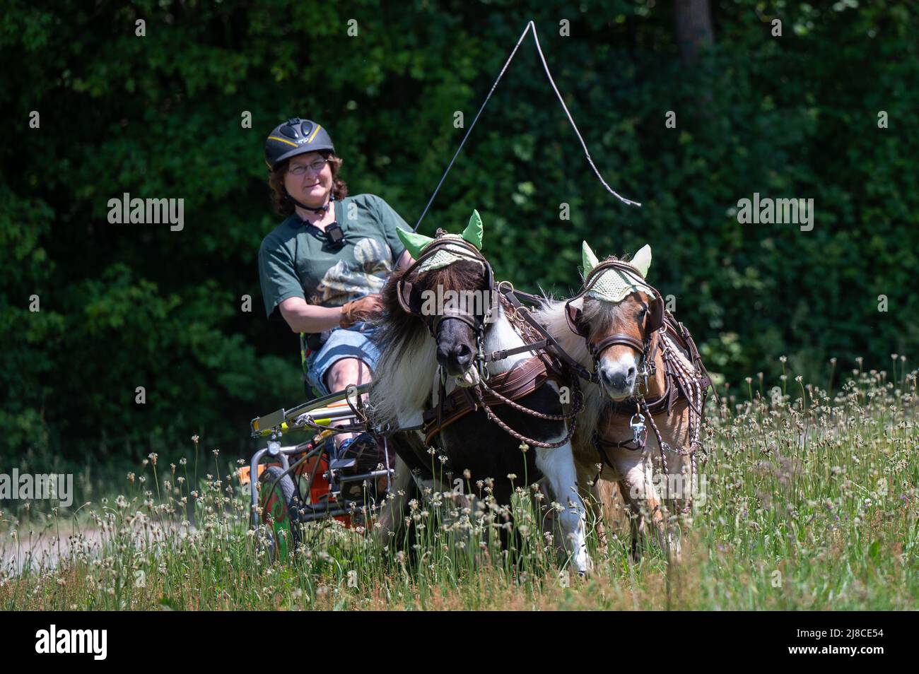 Mini carriage hi-res stock photography and images - Alamy