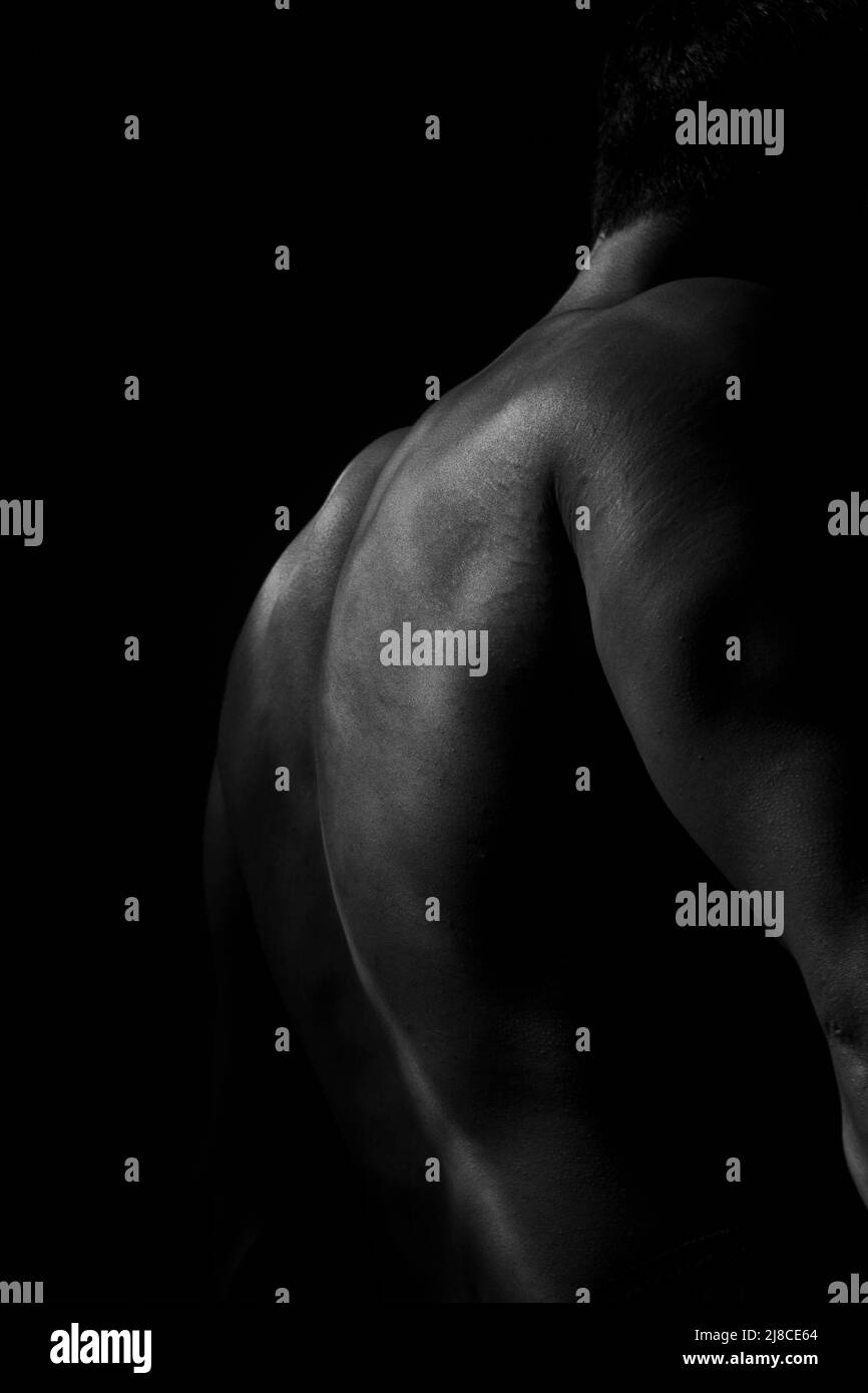 a fit male back muscle after workout in a black and white shot Stock ...