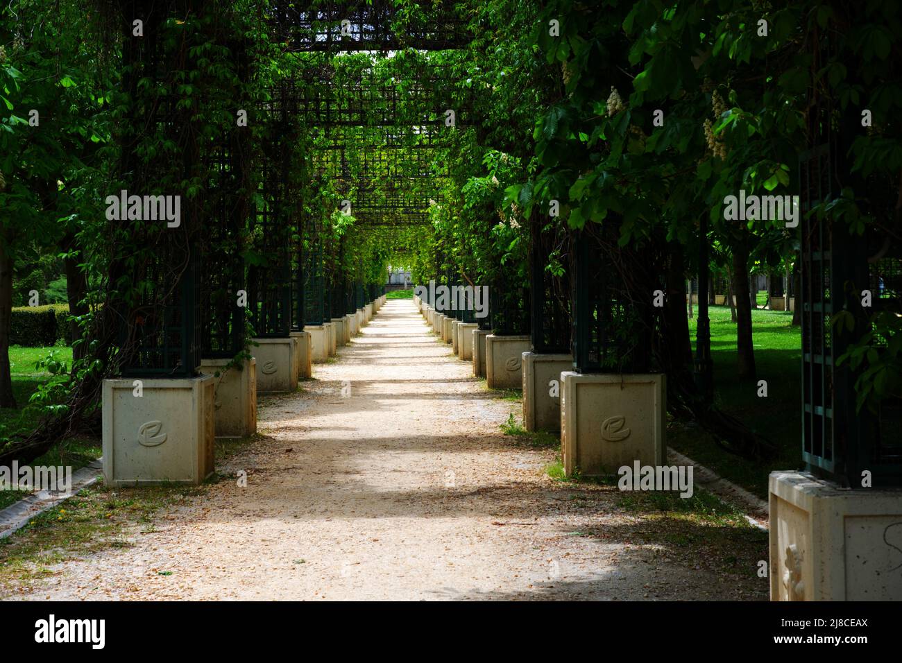 Tree tunnel garden path hi-res stock photography and images - Alamy