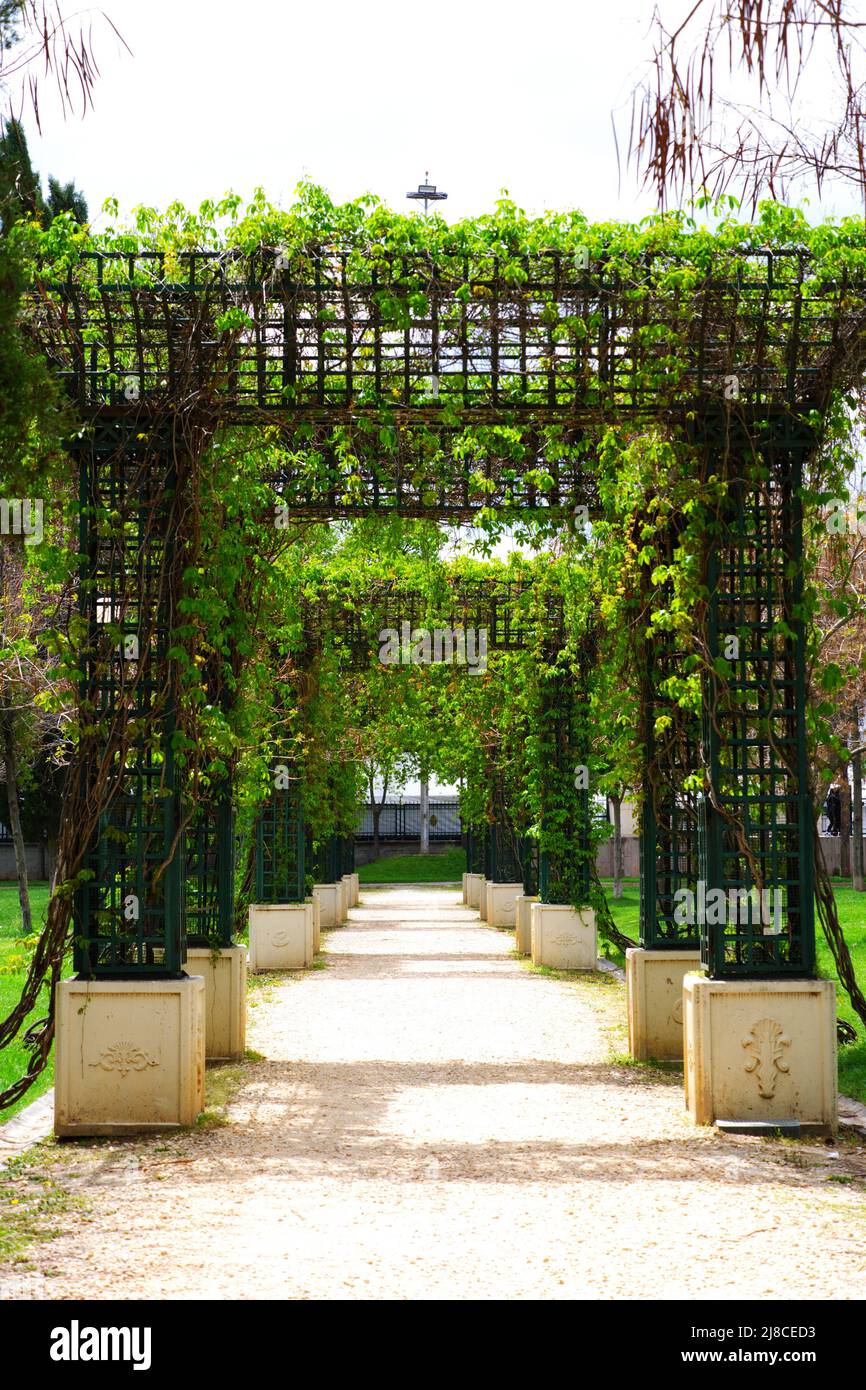 Beautiful walking path at park Stock Photo - Alamy