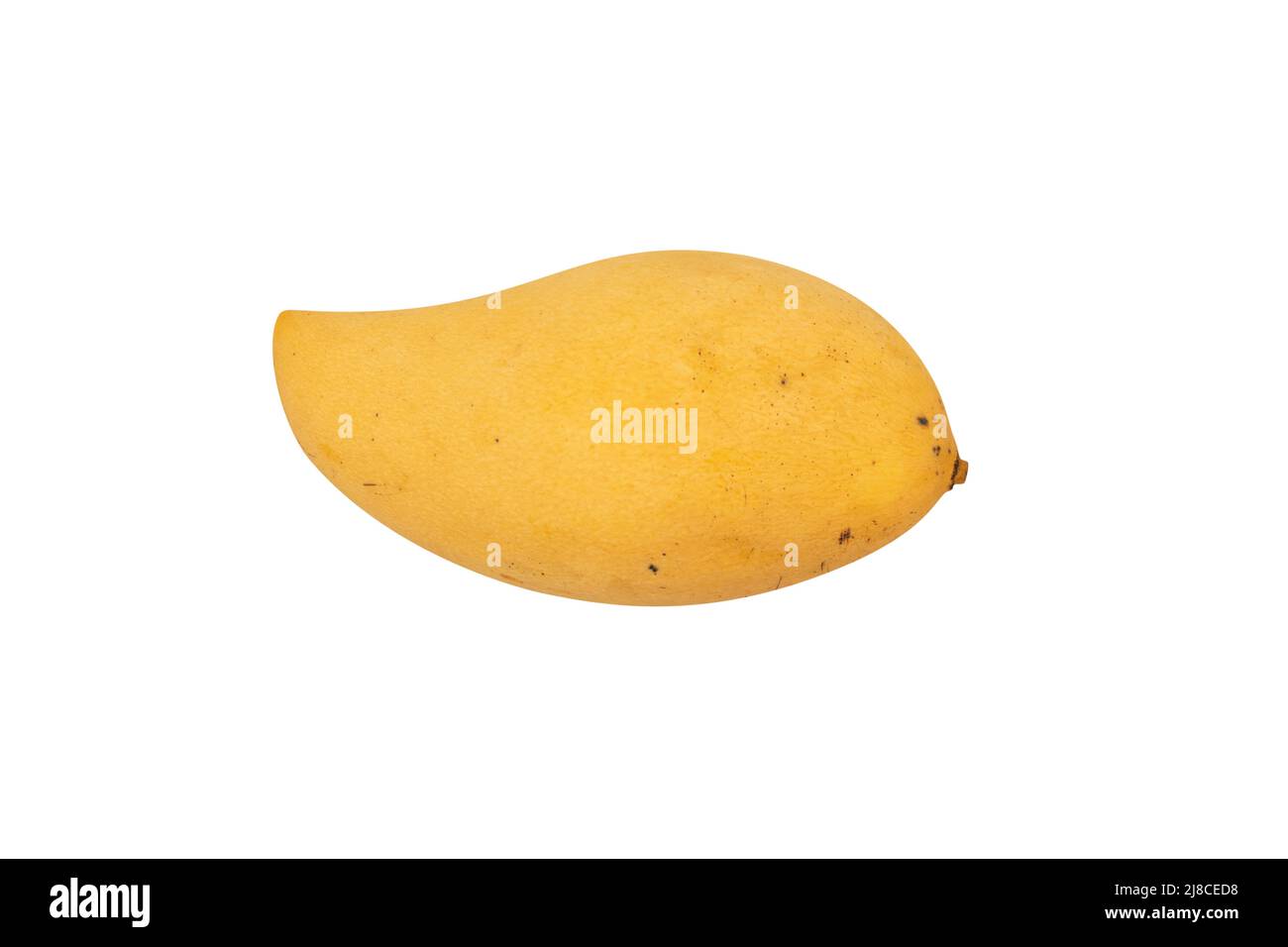 Mango isolated on white background Stock Photo - Alamy