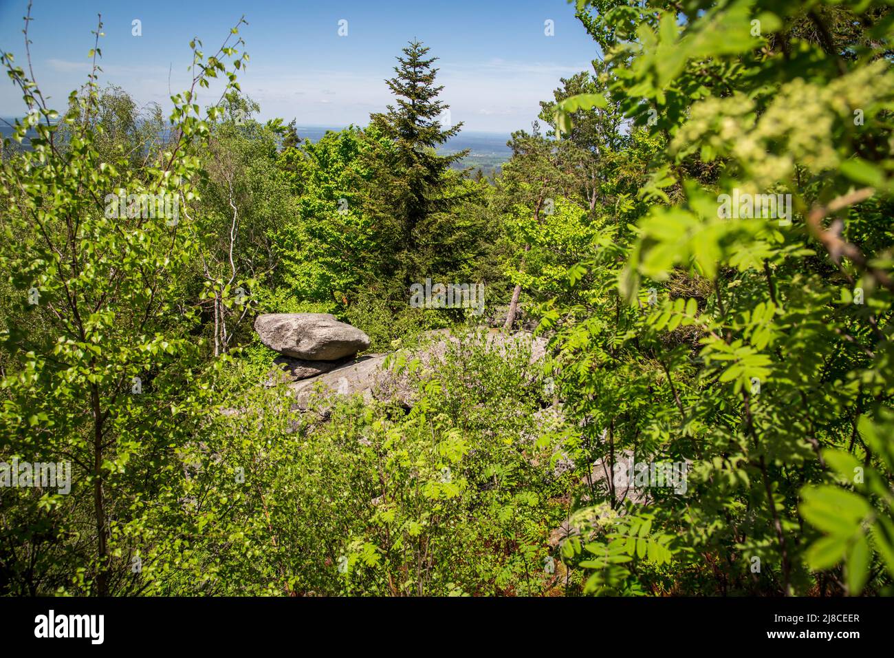 Erlebnisweg Heinrichs, a hiking path in the Waldviertel - at the ...