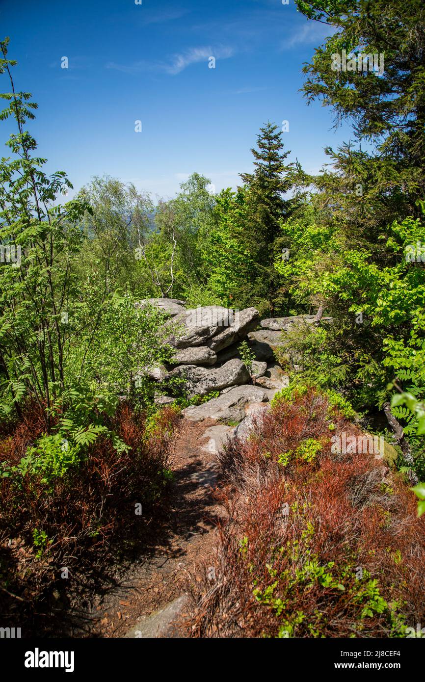 Erlebnisweg Heinrichs, a hiking path in the Waldviertel - at the ...