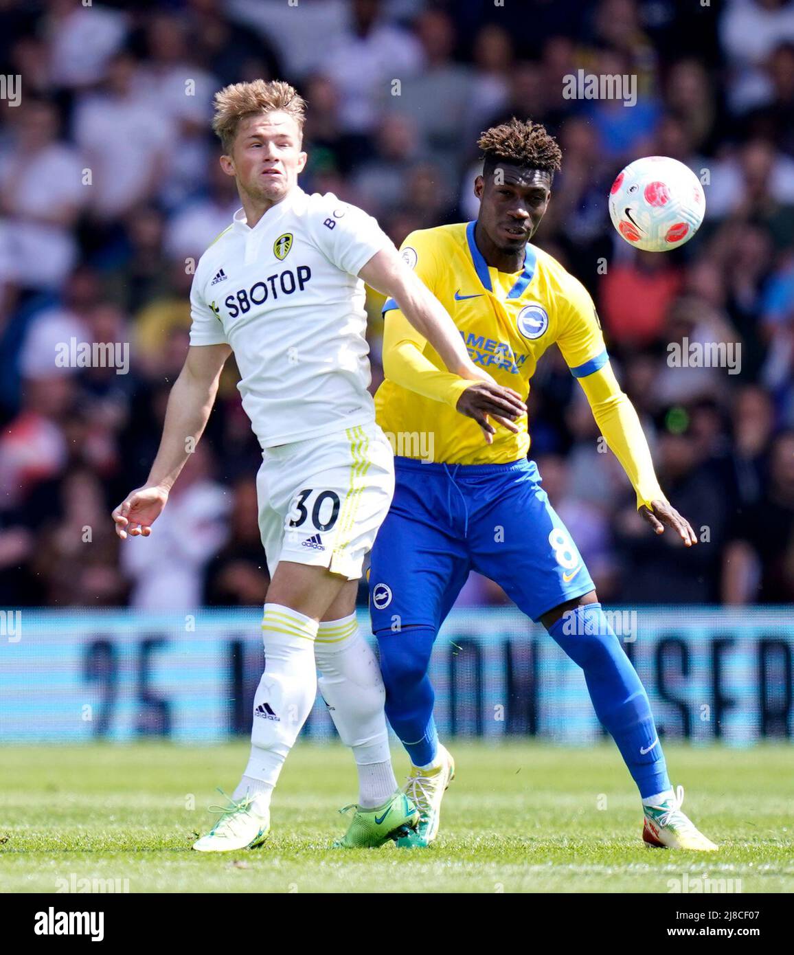 Joe gelhardt brighton hi-res stock photography and images - Alamy