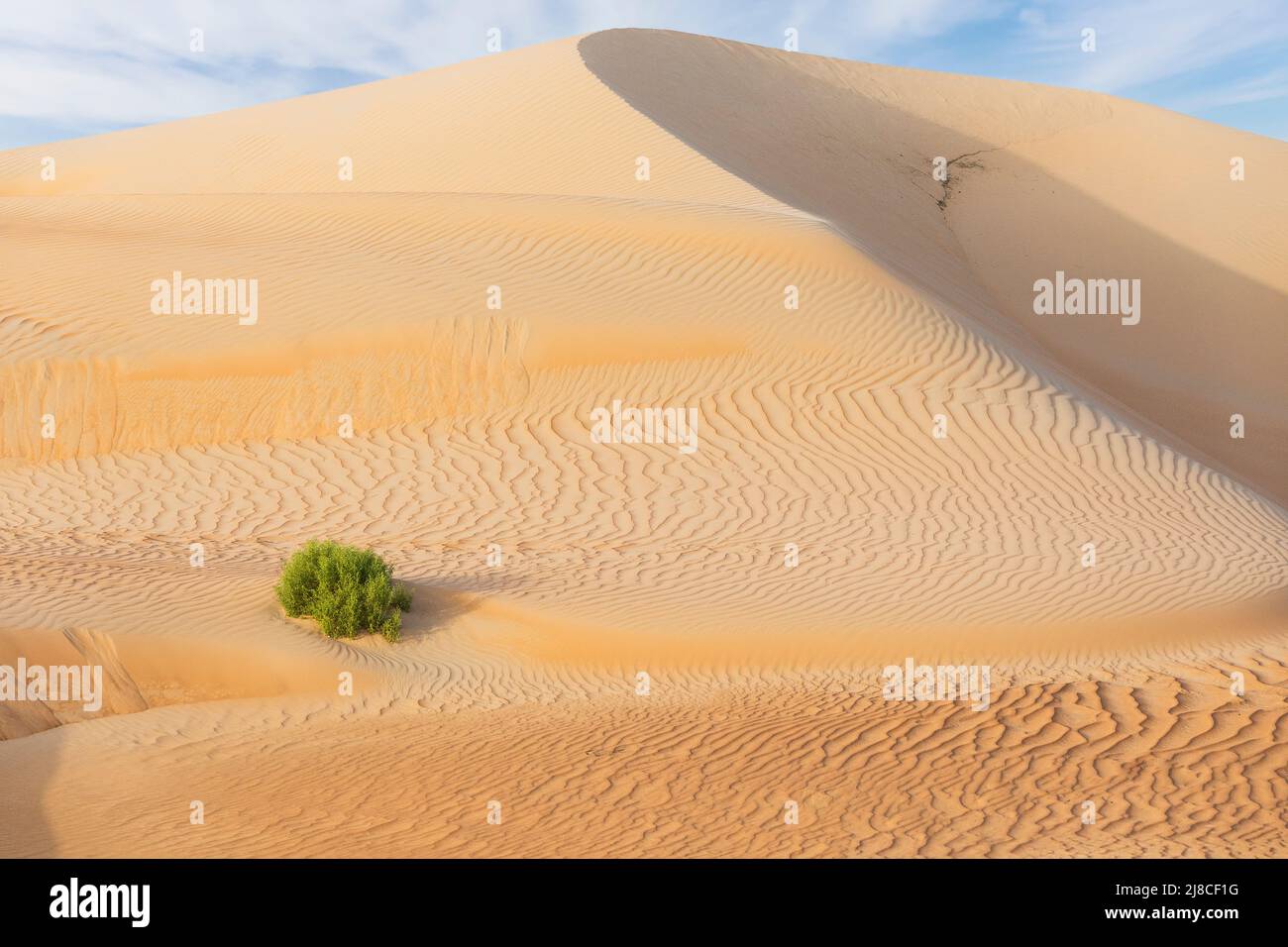Dunes and colored sands of the Rub al-Khali desert Stock Photo - Alamy