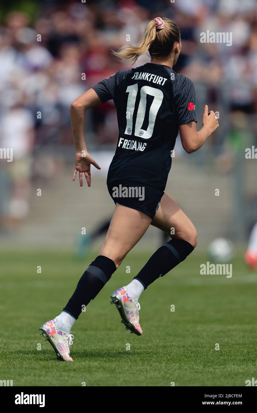 Freigang frankfurt hi-res stock photography and images - Alamy