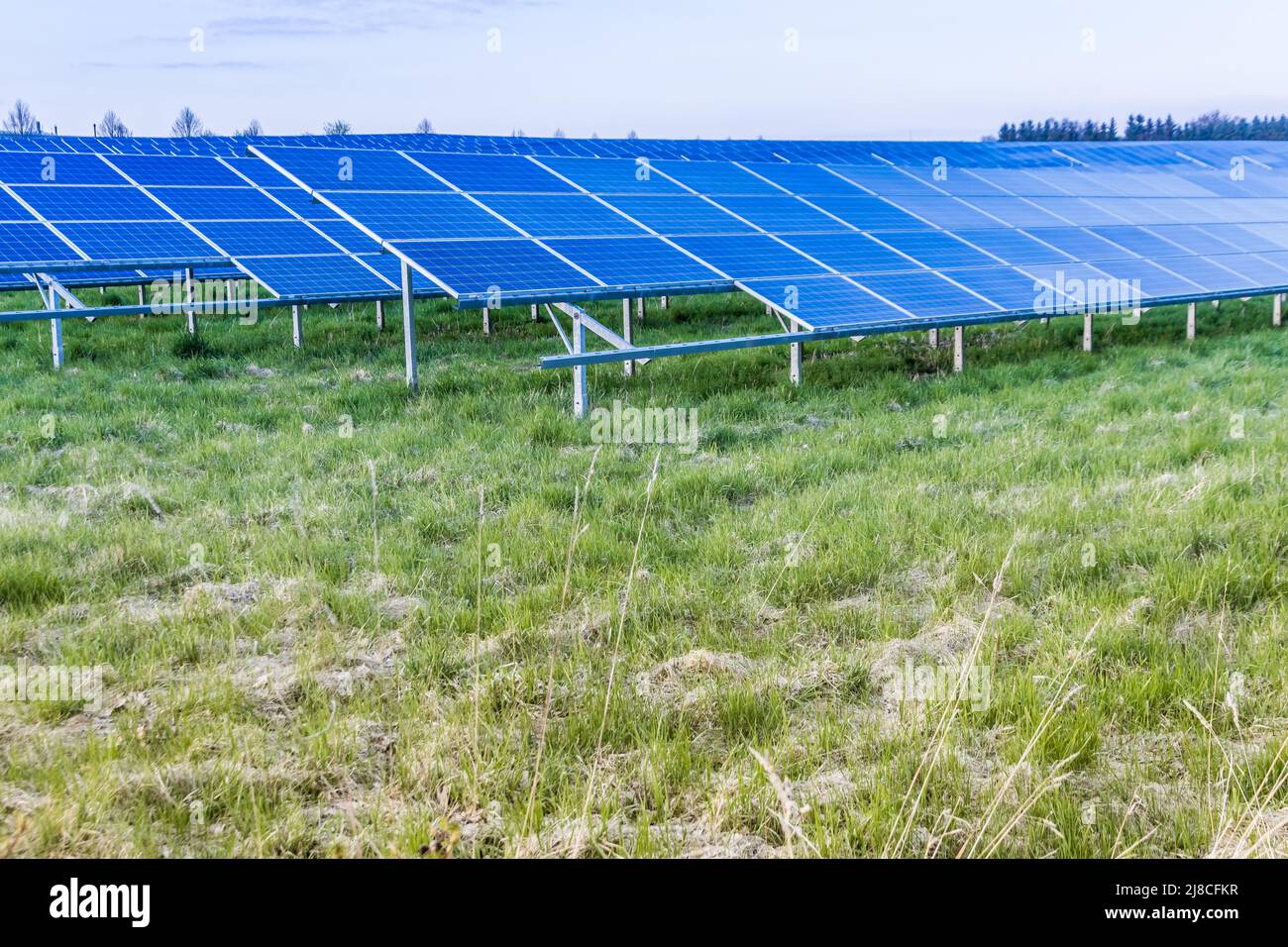 Solar cells in a row Stock Photo - Alamy