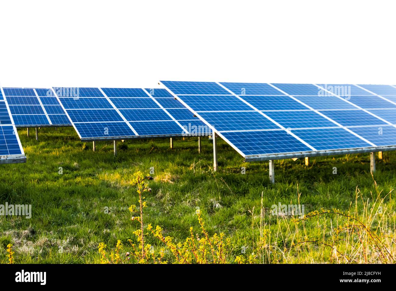 Solar cells in a row Stock Photo - Alamy
