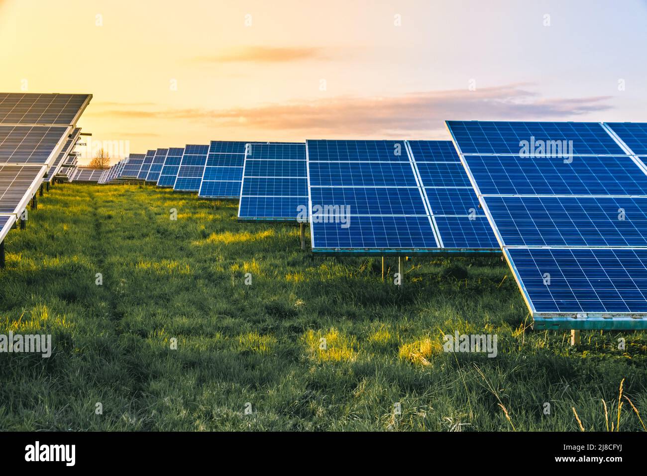 Solar cells in a row Stock Photo - Alamy