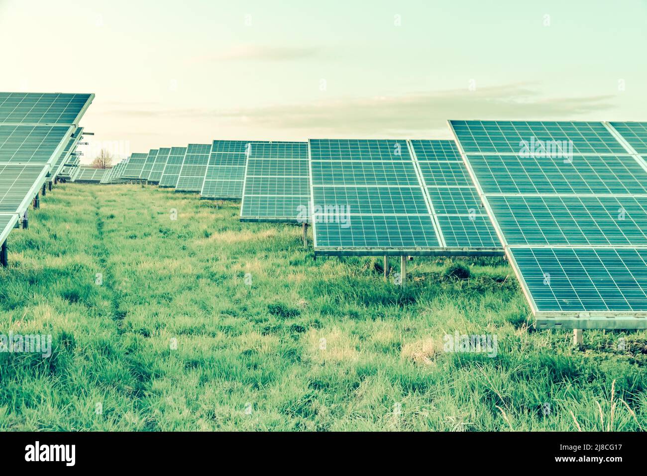 Solar cells in a row Stock Photo - Alamy