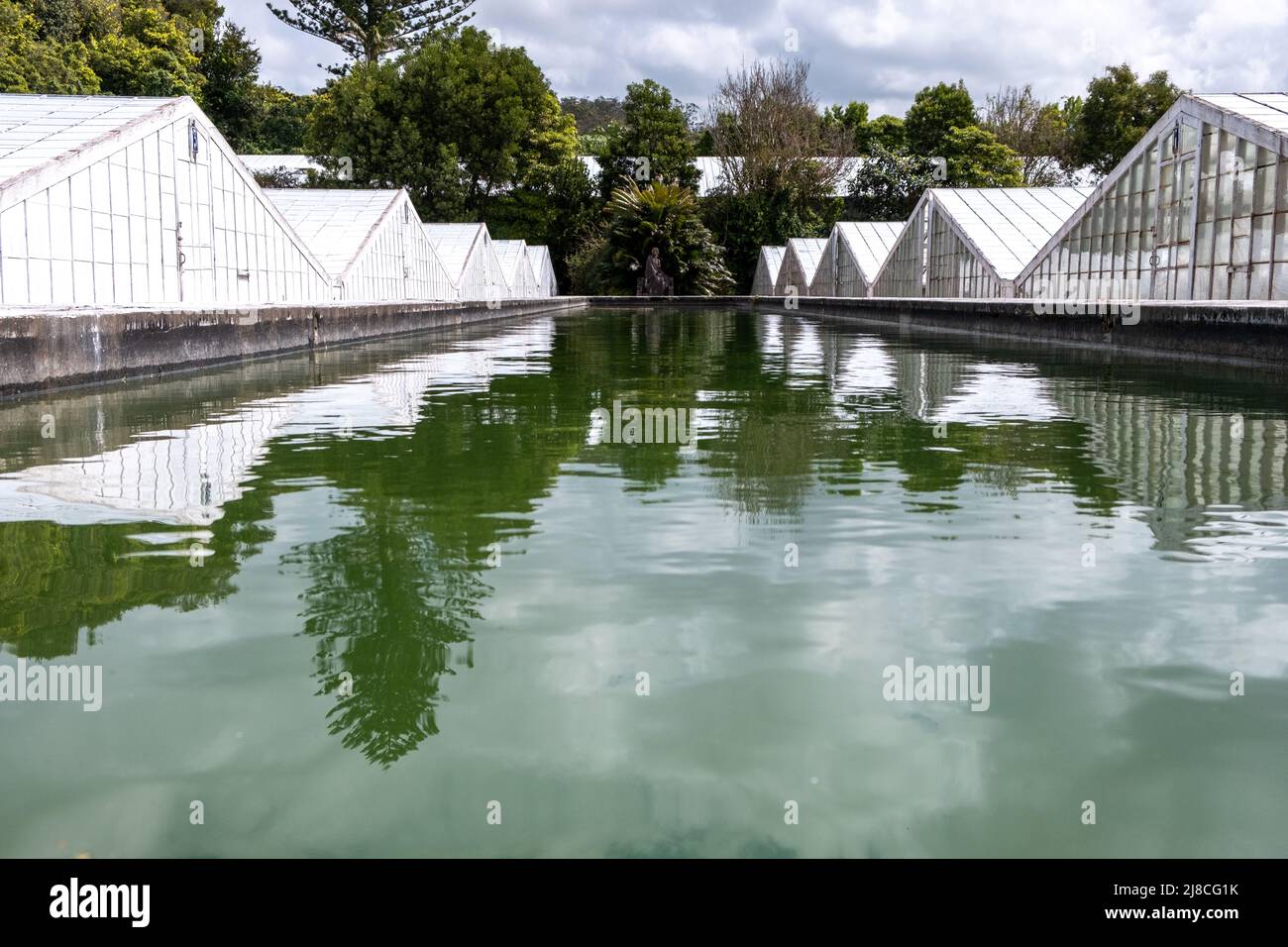 Outside structure view of traditional azorean greenhouse for ...