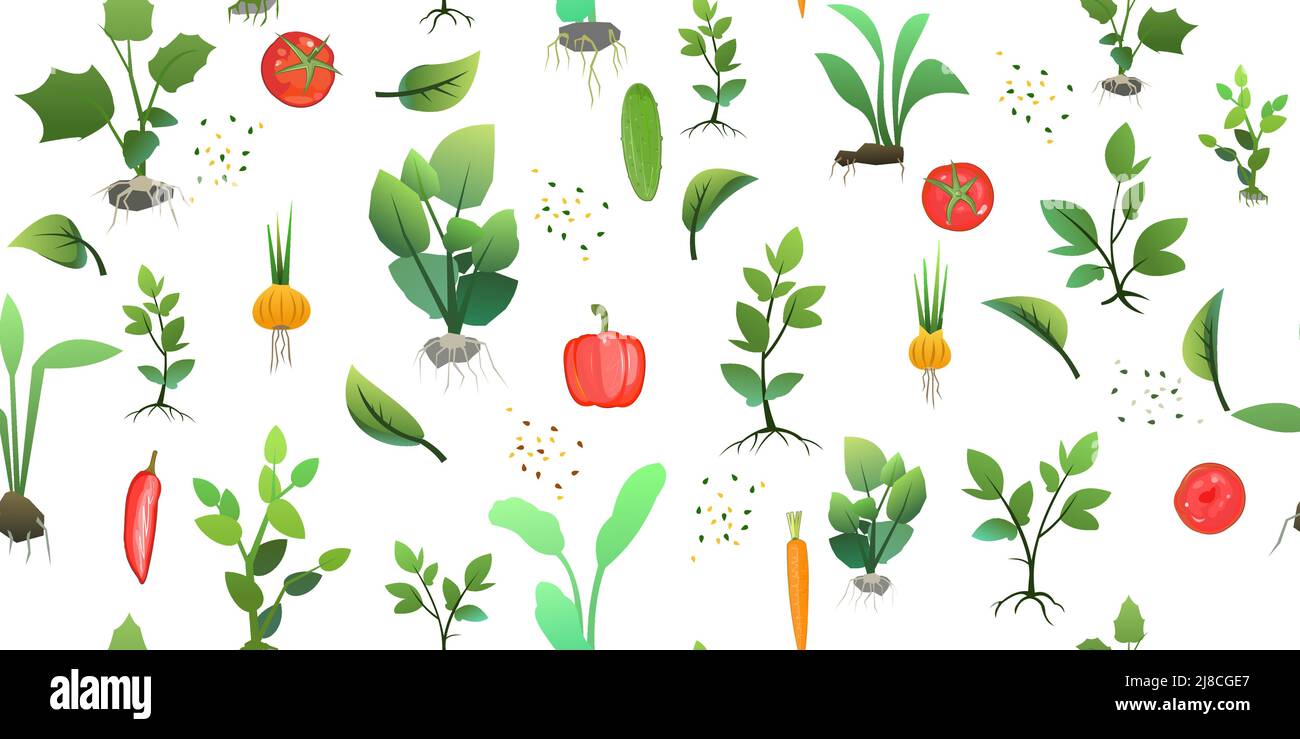 Seedling garden plants with roots and Sunflower seeds. Vegetables ...